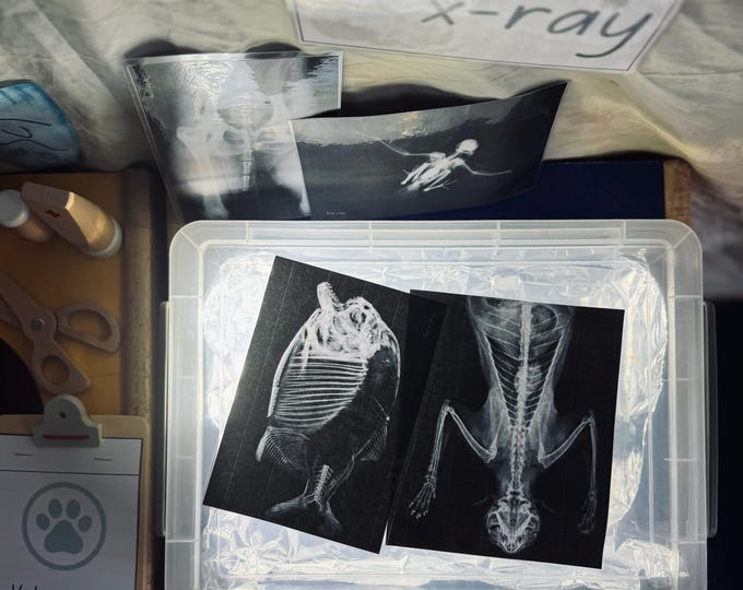 Vet Clinic Dramatic Play, Pretend Play Printable, Pet Play, Animal X ...