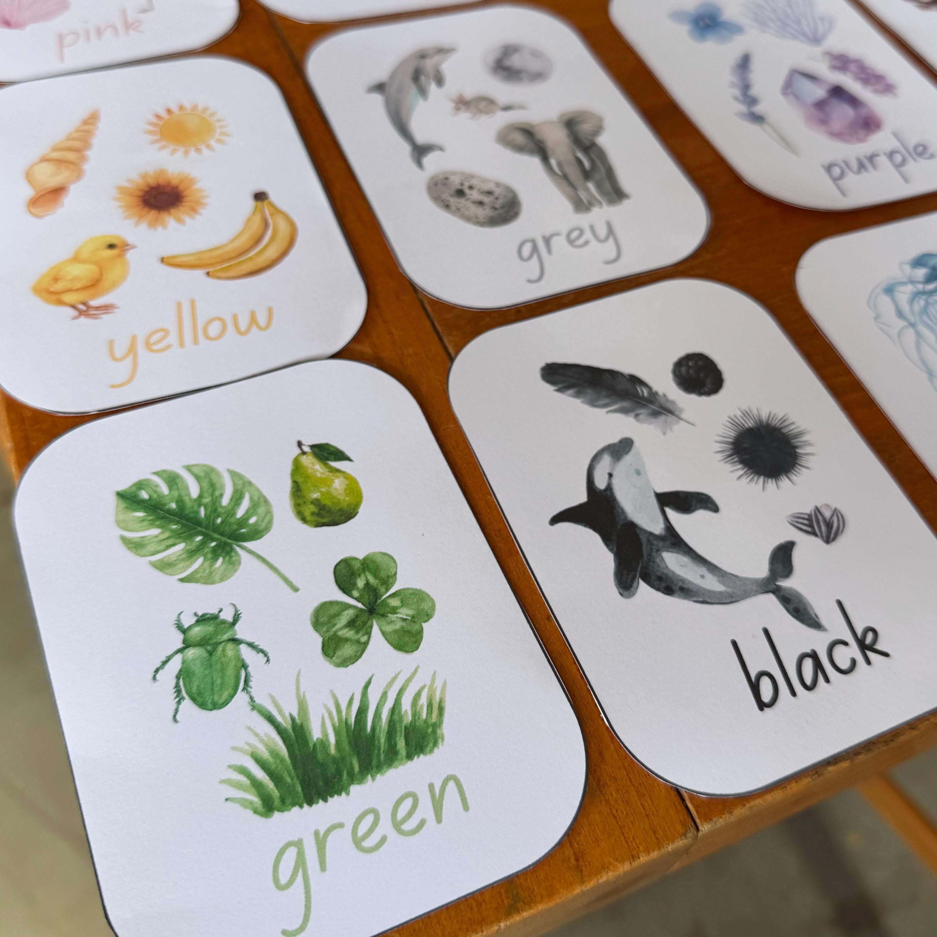 Colours of Nature: Set of 12 Colour Flash Cards - Etsy Canada