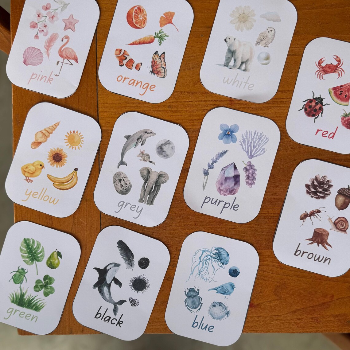 Colours of Nature: Set of 12 Colour Flash Cards - Etsy Canada