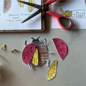 Mechanical Paper Insects: Construct 5-10 of Your Own Movable Insects - Etsy