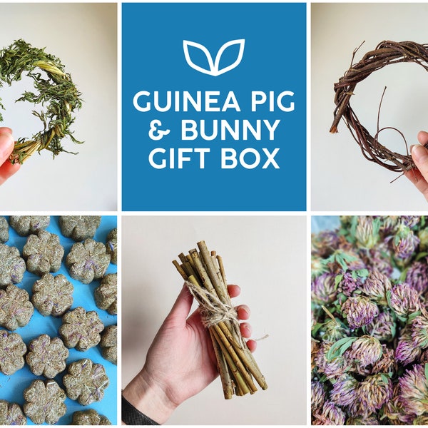 Wooden Forage Box - Etsy