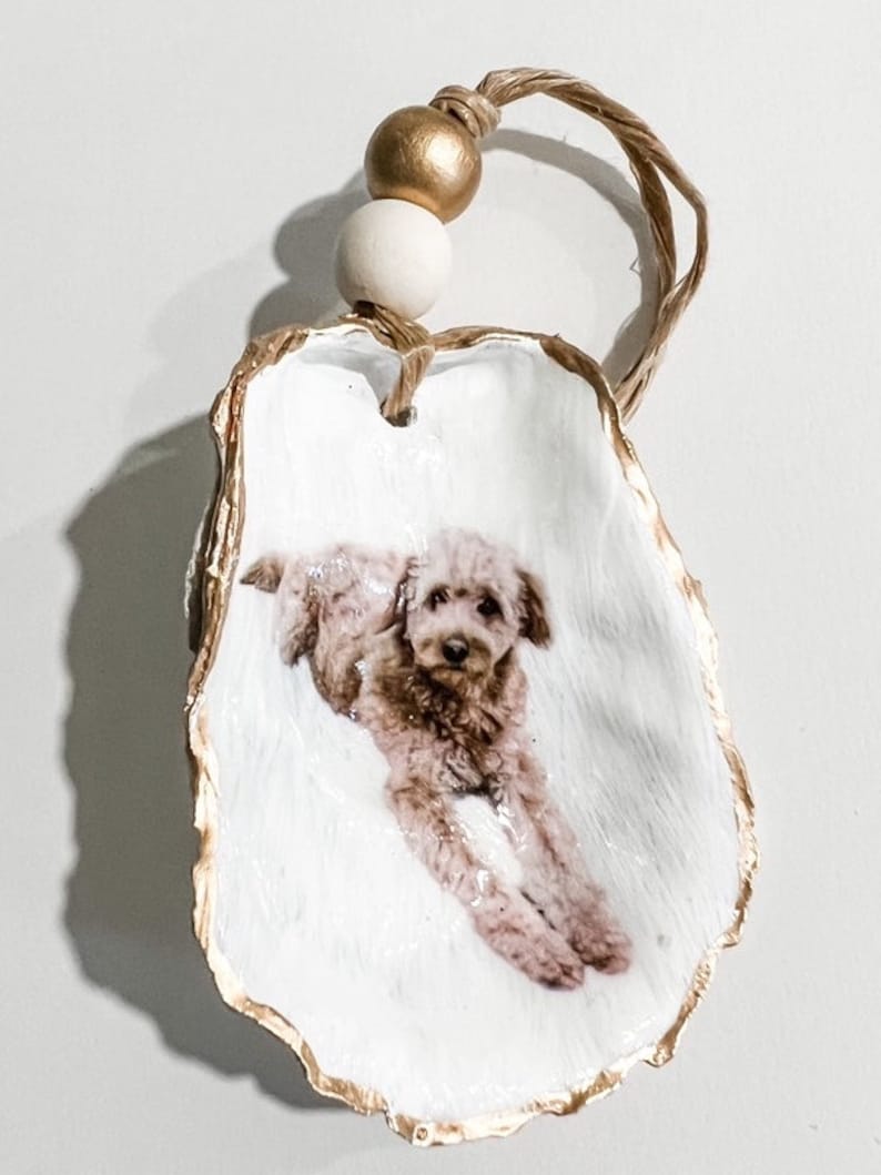 Custom Gilded Oyster Shell With Favorite Photo of Your Dog, Cat Horse ...