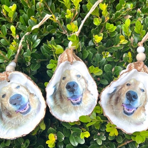 Custom Gilded Oyster Shell With Favorite Photo of Your Dog, Cat Horse ...