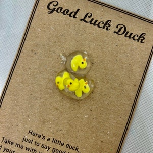 Good Luck Duck Resin Gift With Poem - Etsy