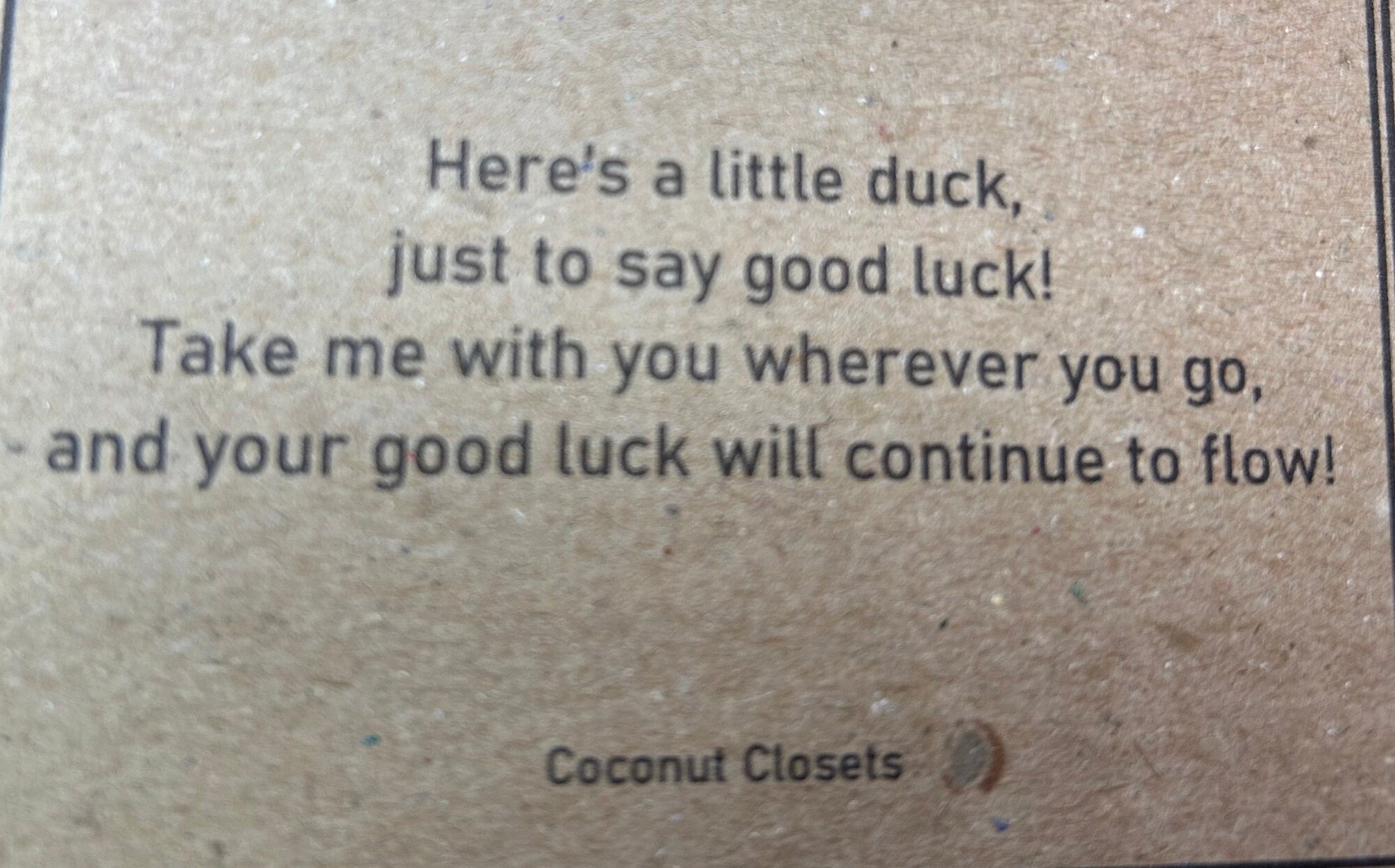 Good Luck Duck Resin Gift With Poem - Etsy