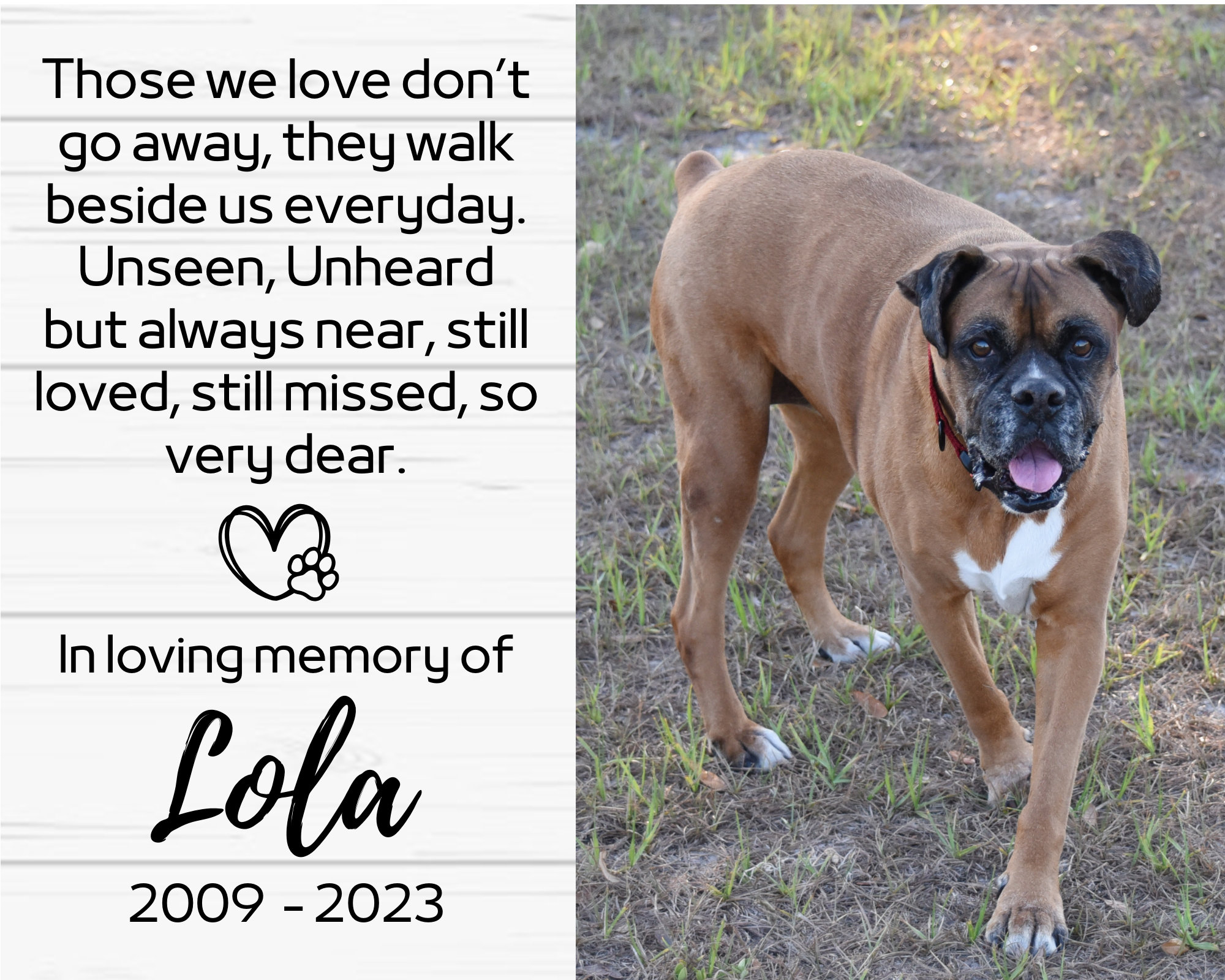 Memorialize Your Pet With Custom Photo Pet Memorial Canvas Personalized ...