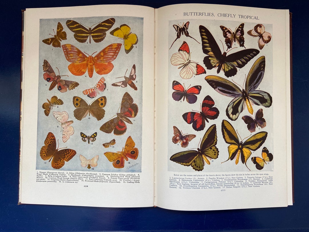 The Book of Knowledge From the Grolier Society, Volume 17-20 - Etsy