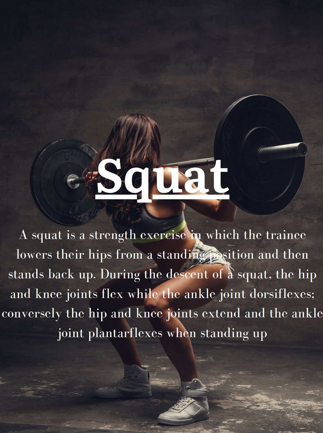 Gym Poster for Home Gym - Etsy