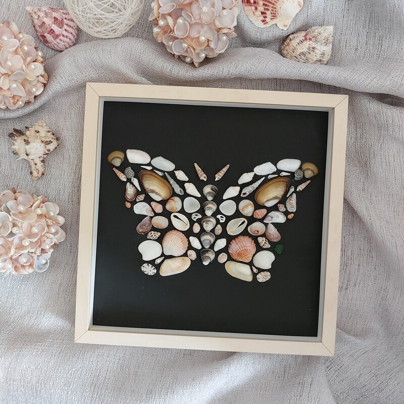 Seashell Butterfly - Etsy