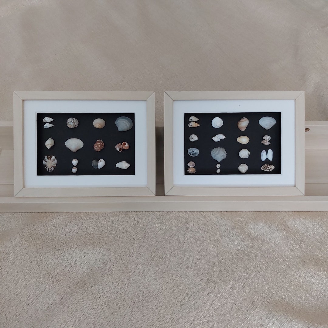 Seashell Collection Set of 2 Sea Shells Wall Art Seashell Mosaic ...
