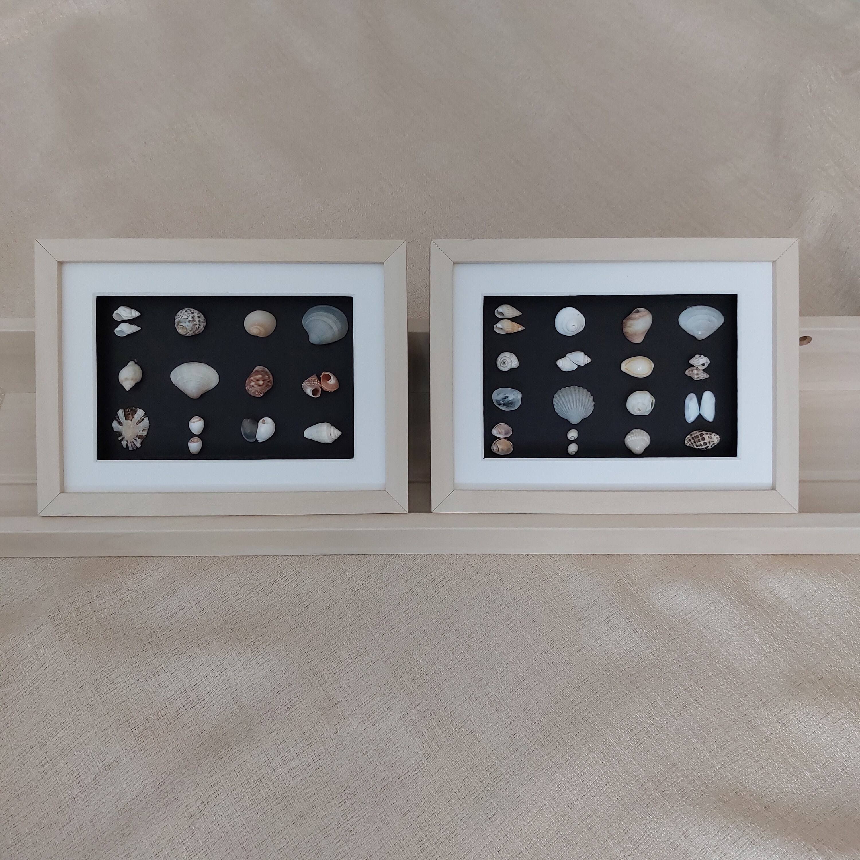 Seashell Collection Set of 2 Sea Shells Wall Art Seashell Mosaic ...