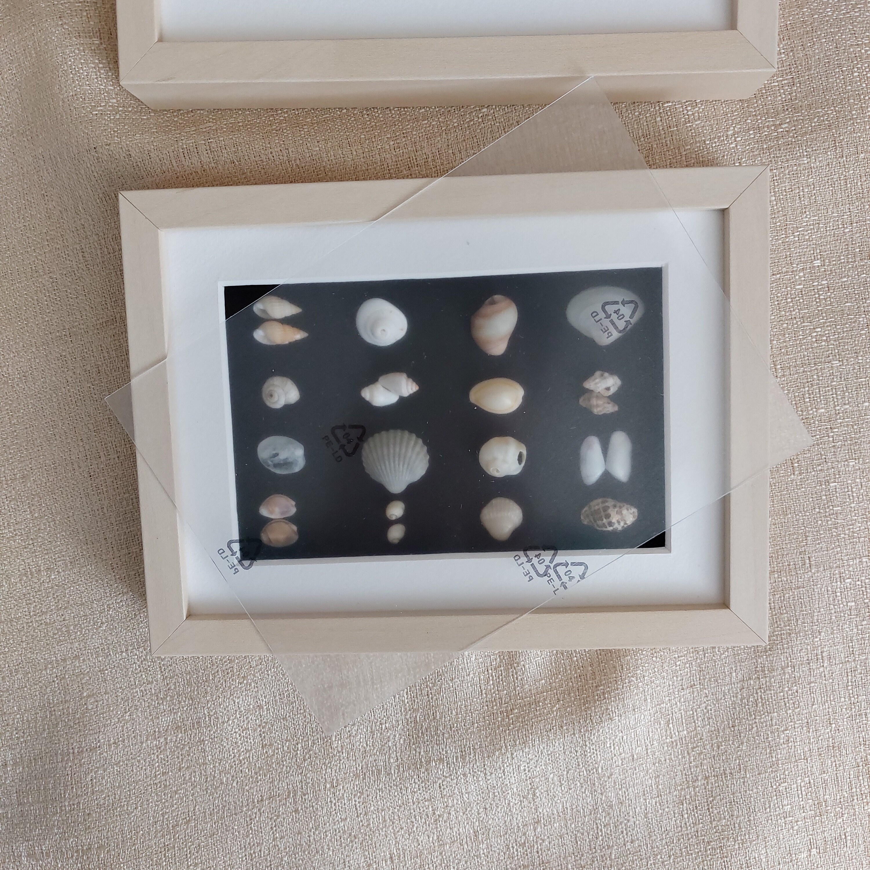 Seashell Collection Set of 2 Sea Shells Wall Art Seashell Mosaic ...