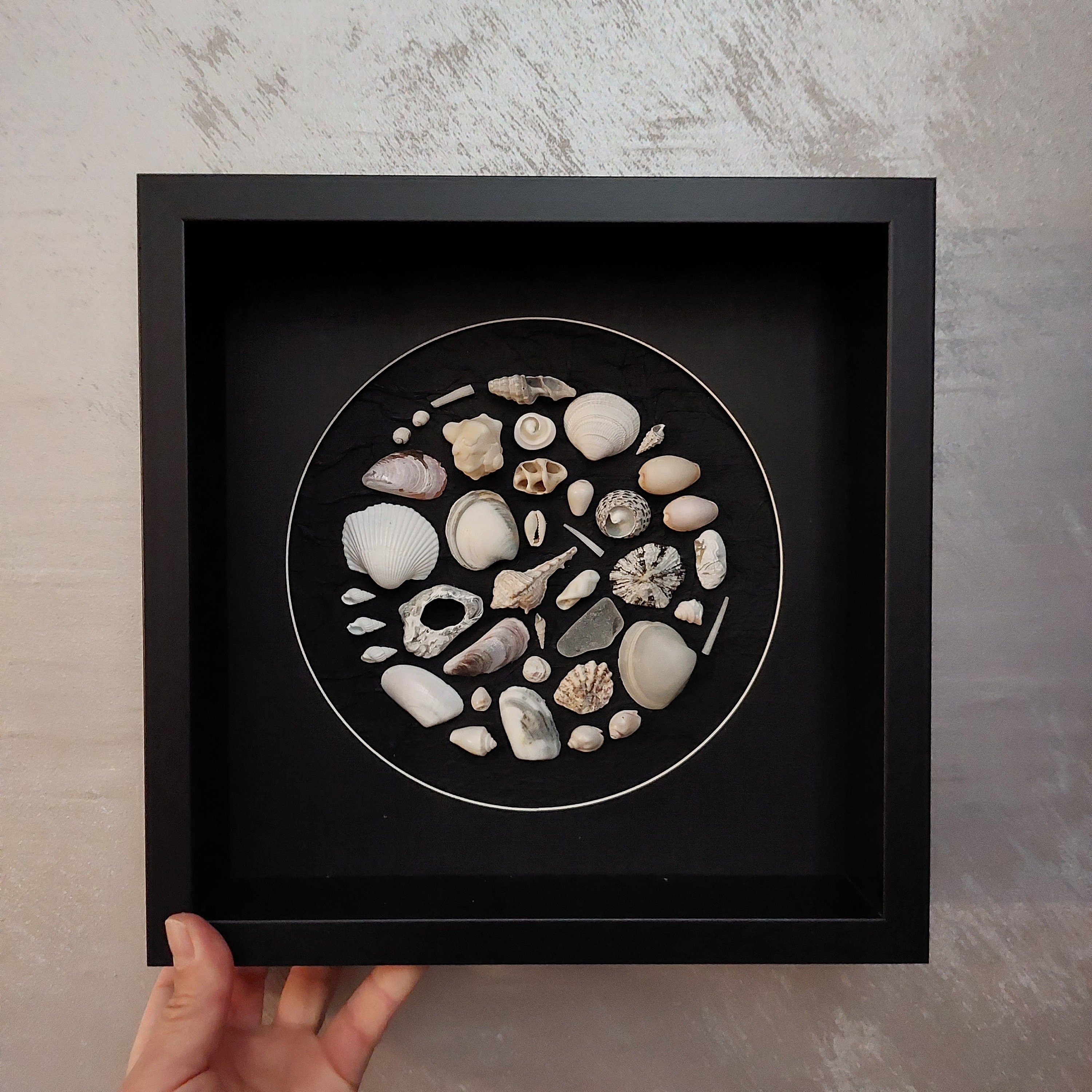 Seashell Circle Wall Decor Shell Collage Art Mosaic Seashell Wall Art ...