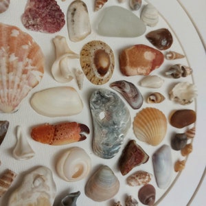 Mosaic Shell Decor Collage Seashell Decor Pebble Art Sea Grass Shadow ...