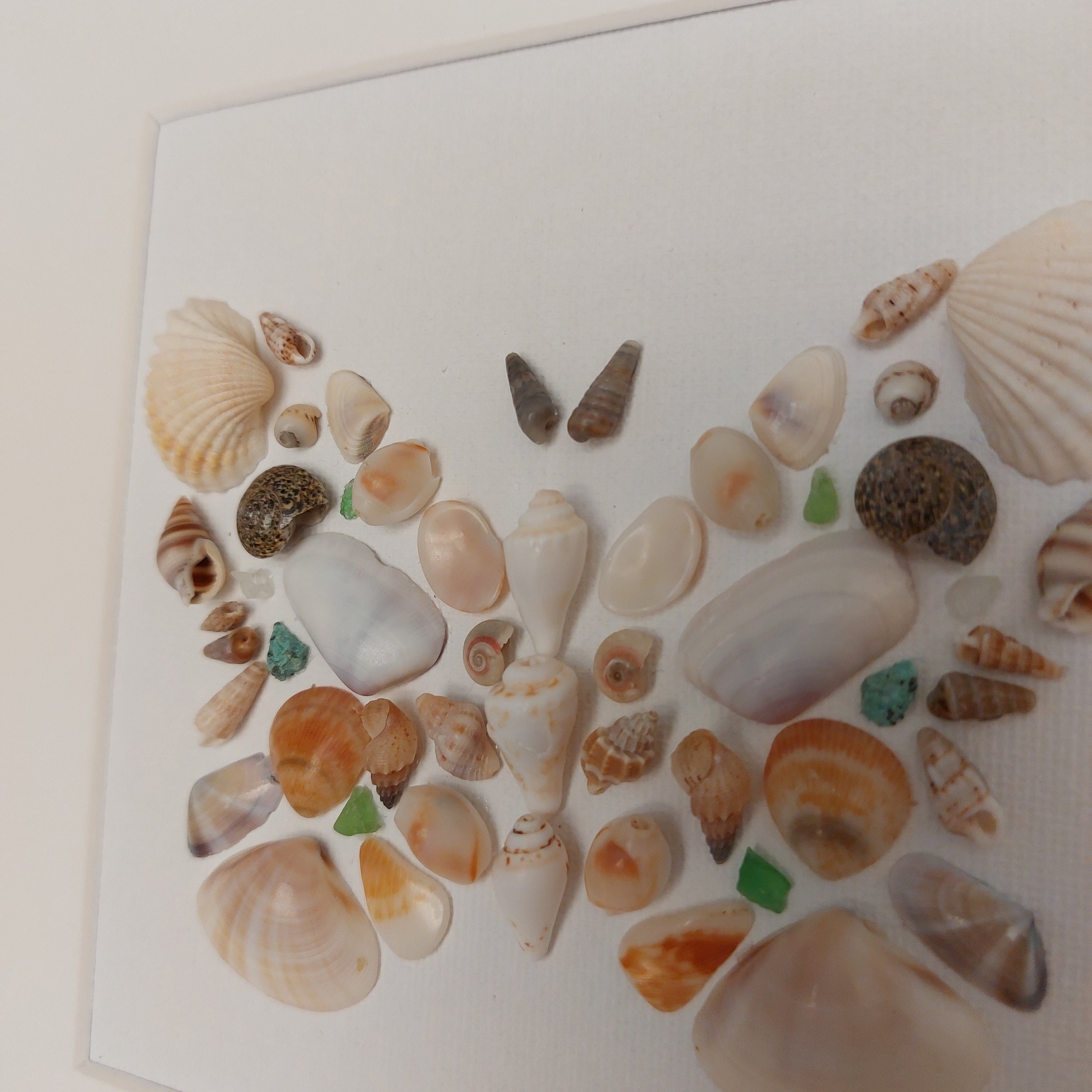 Butterfly Mosaic Shell Art Butterfly Seashell Wall Decor Framed ...