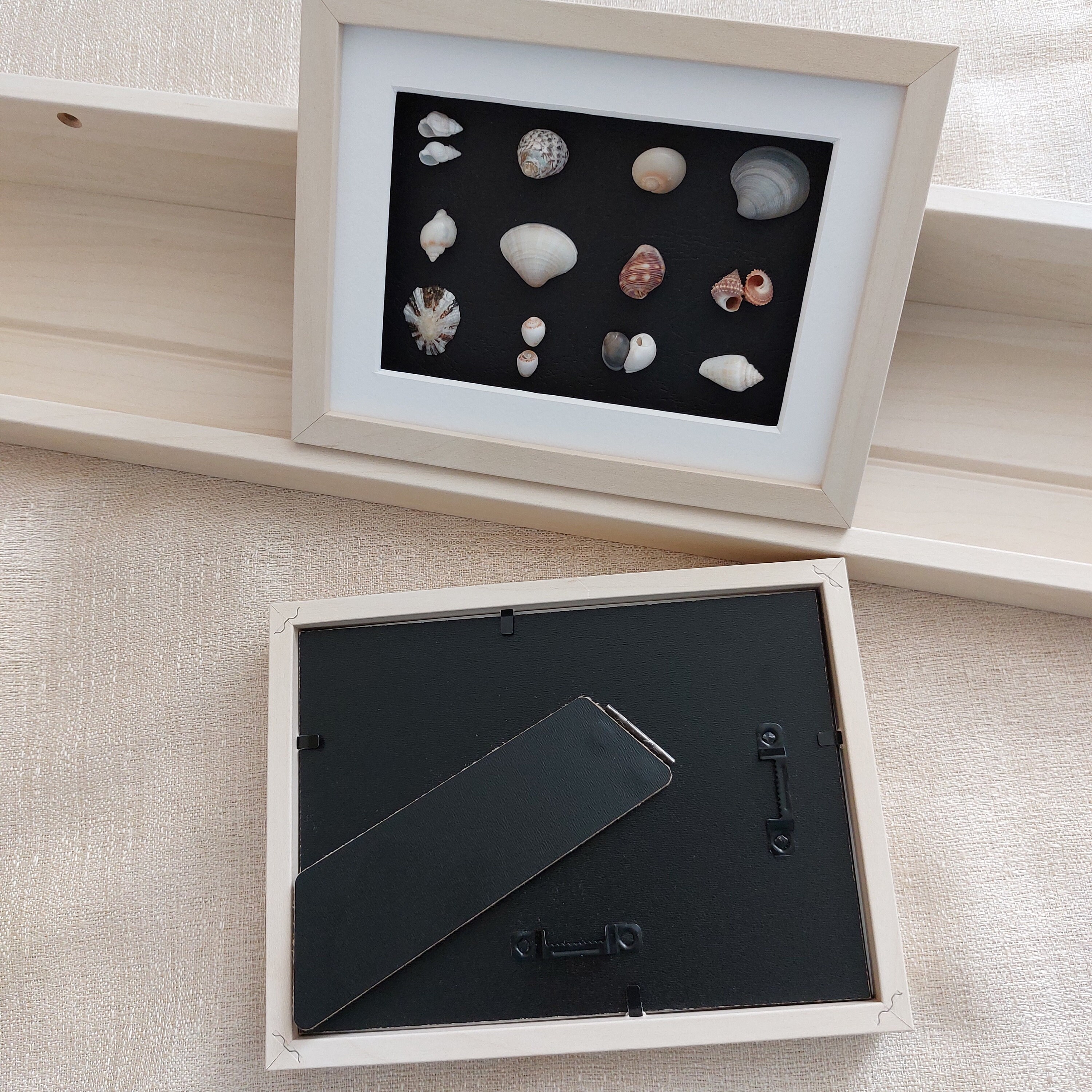 Seashell Collection Set of 2 Sea Shells Wall Art Seashell Mosaic ...