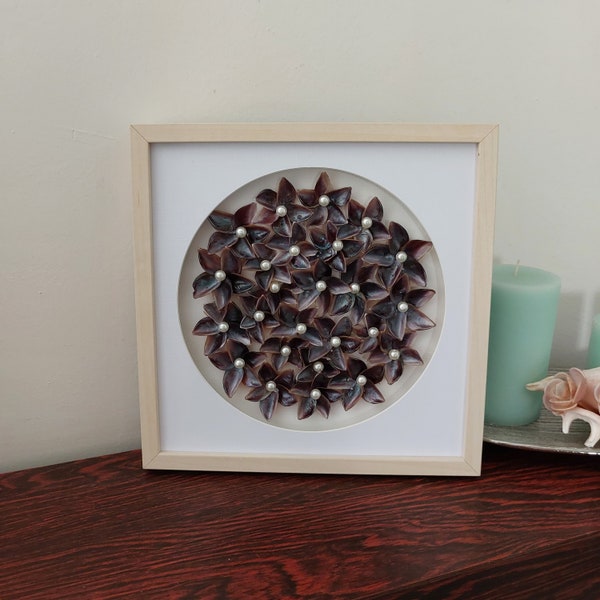 Framed Shell Art - Etsy