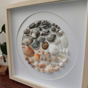 Mosaic Collage Shells White Black Beige Shell Wall Decor Shell Coastal ...