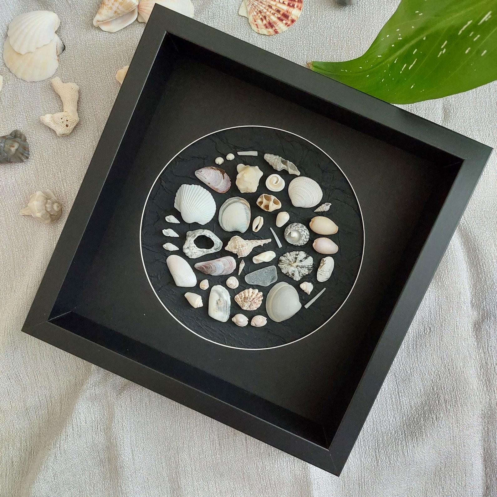 Seashell Circle Wall Decor Shell Collage Art Mosaic Seashell - Etsy