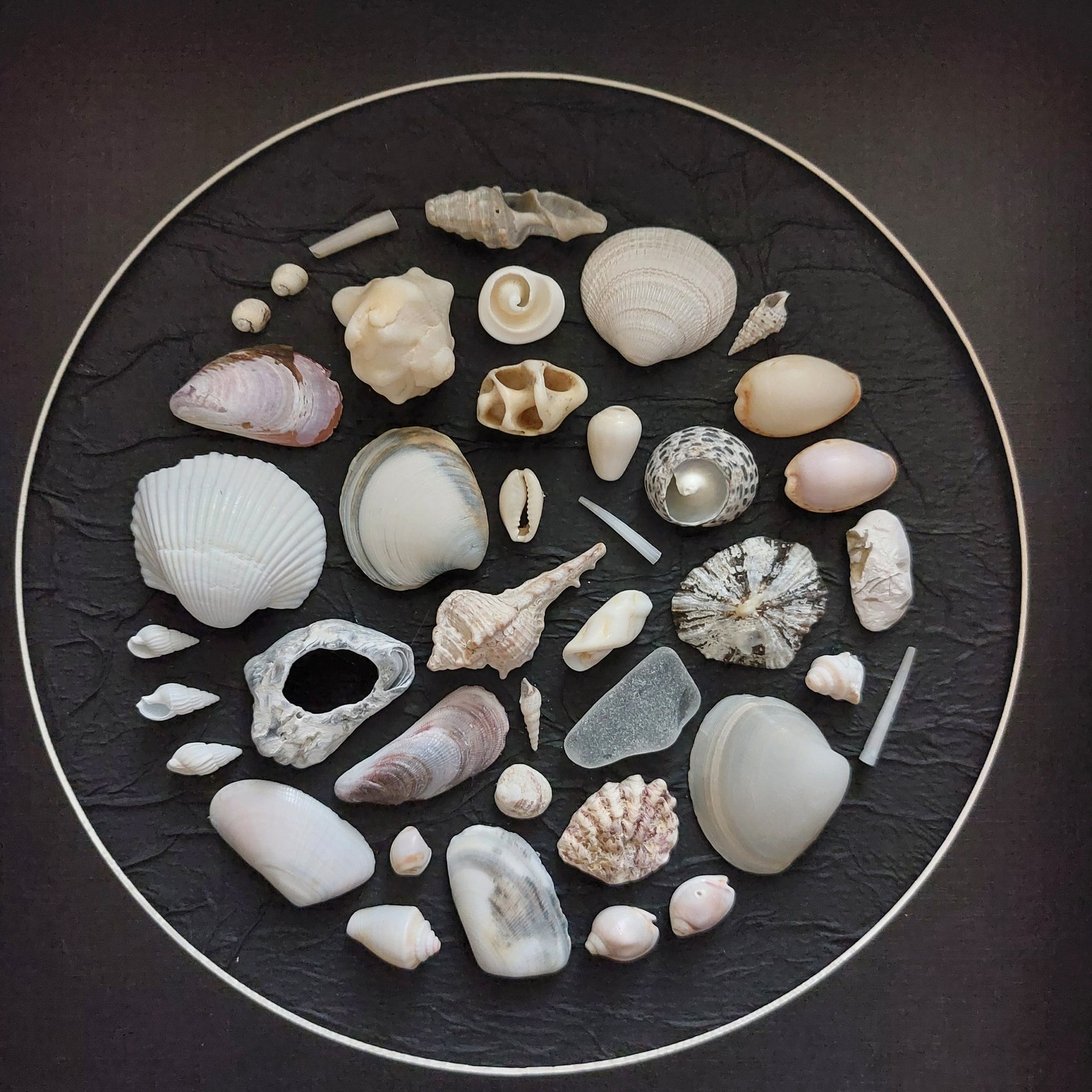 Seashell Circle Wall Decor Shell Collage Art Mosaic Seashell Wall Art ...