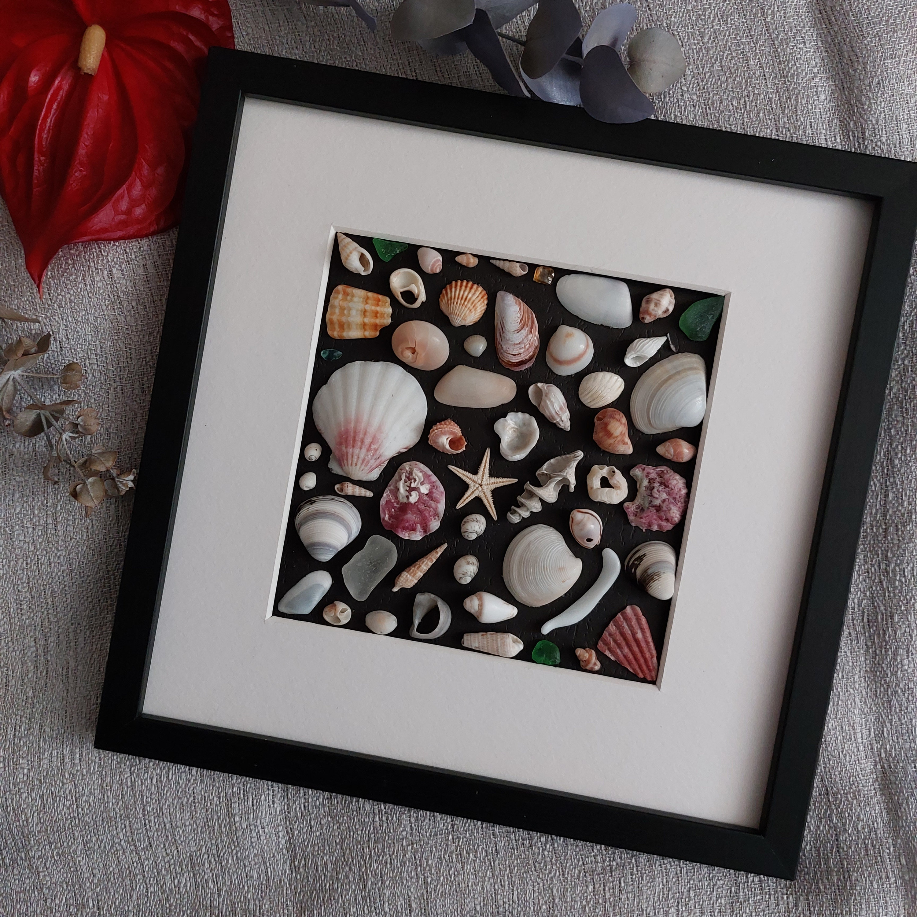 Framed Seashell Artwork