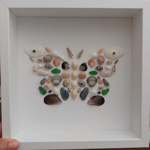 Butterfly Seashell Wall Art Butterfly Framed Sea Glass Art Seashell ...