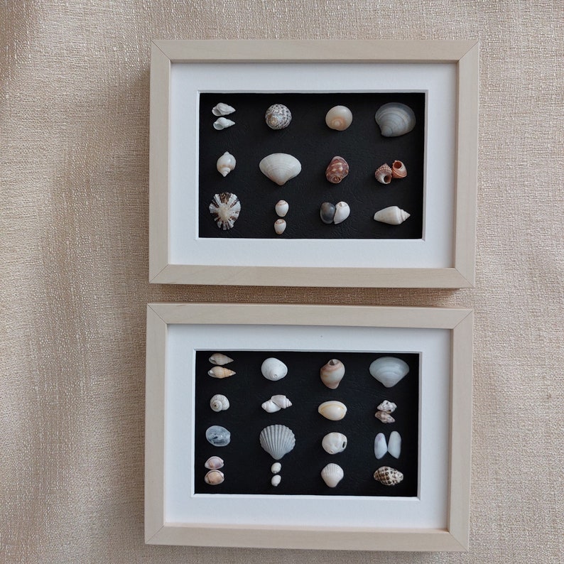 Seashell Collection Set of 2 Sea Shells Wall Art Seashell Mosaic ...