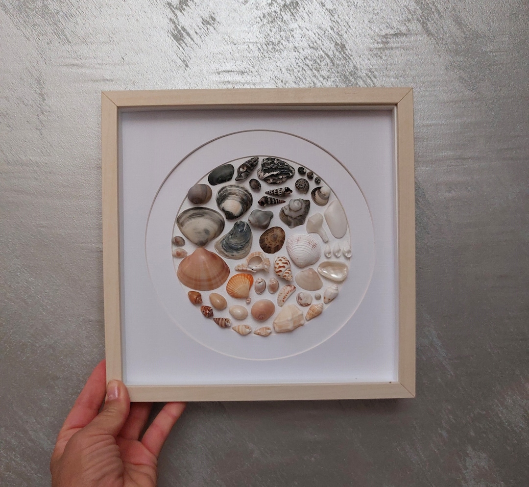 Mosaic Collage Shells White Black Beige Shell Wall Decor Shell Coastal ...