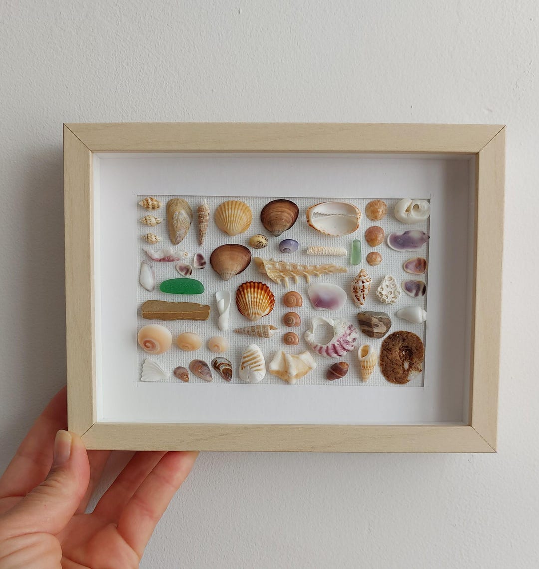 Small Seashell Mosaic Artwork Seashell Collage Art Shells Framed 7*5 ...