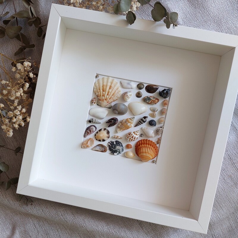 Shell Wall Decor - Etsy