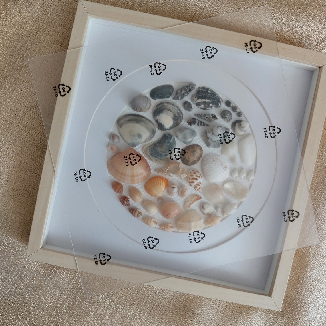 Mosaic Collage Shells White Black Beige Shell Wall Decor Shell - Etsy