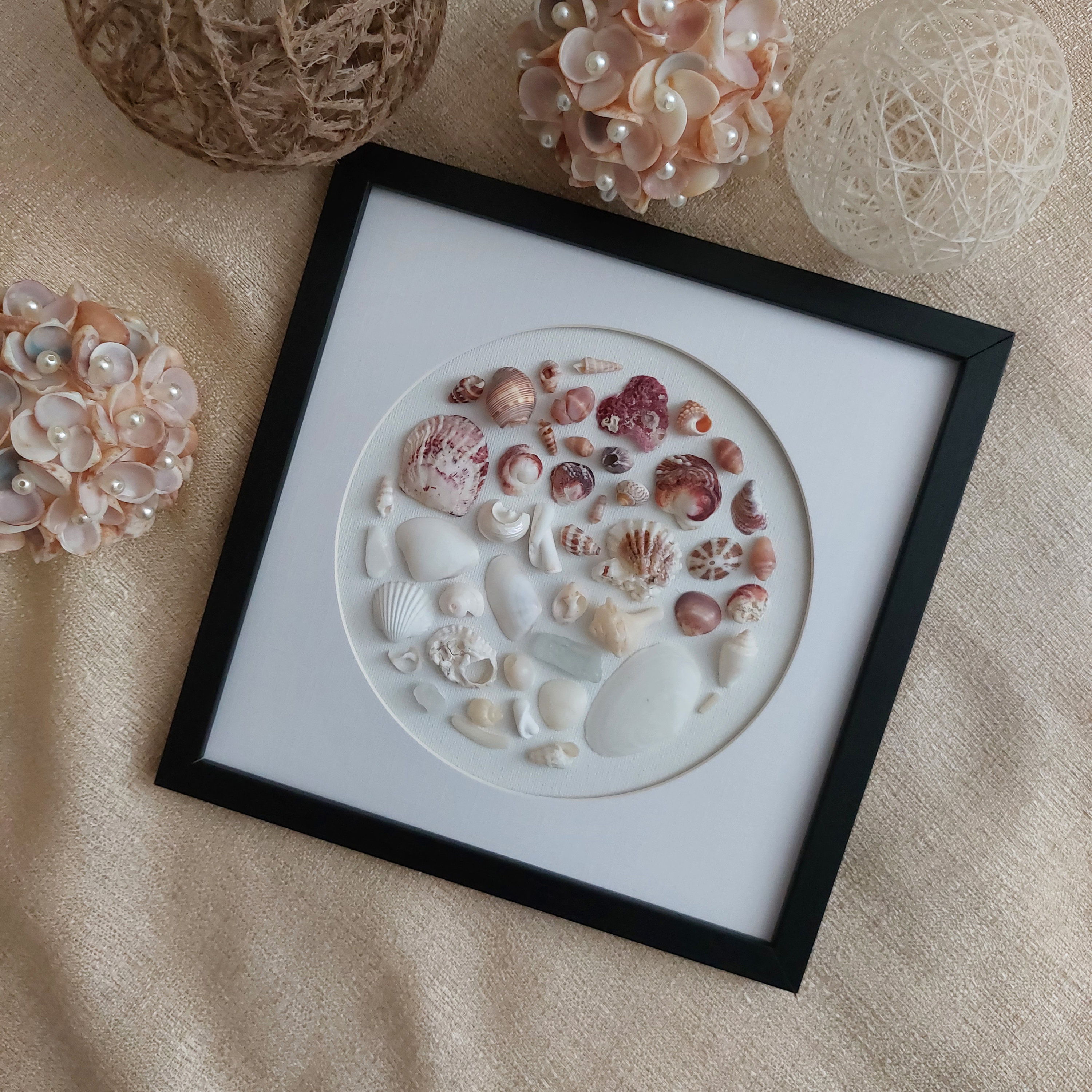 Seashell Art Circular Collage Sea Shell White Pink Colors Seashell Wall ...