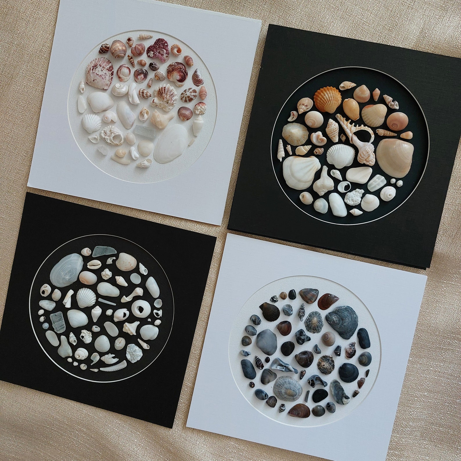 Set Mosaic Seashell Art Circle Yellow White Seashell Wall Decor Collage ...