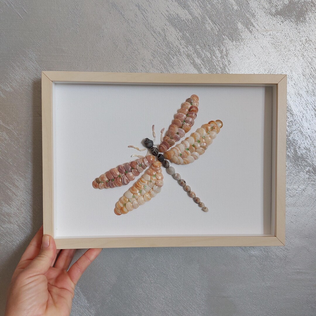 Dragonfly Shell Wall Art Dragonfly Shell Wall Decor Dragonfly Wall ...