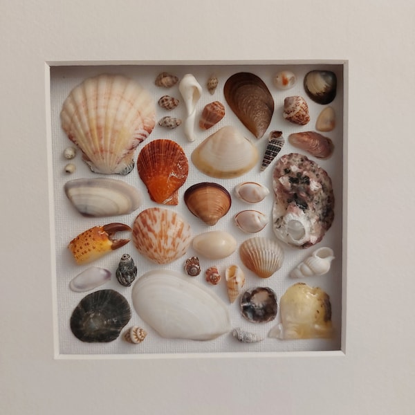 Shell Art Shadow Box - Etsy