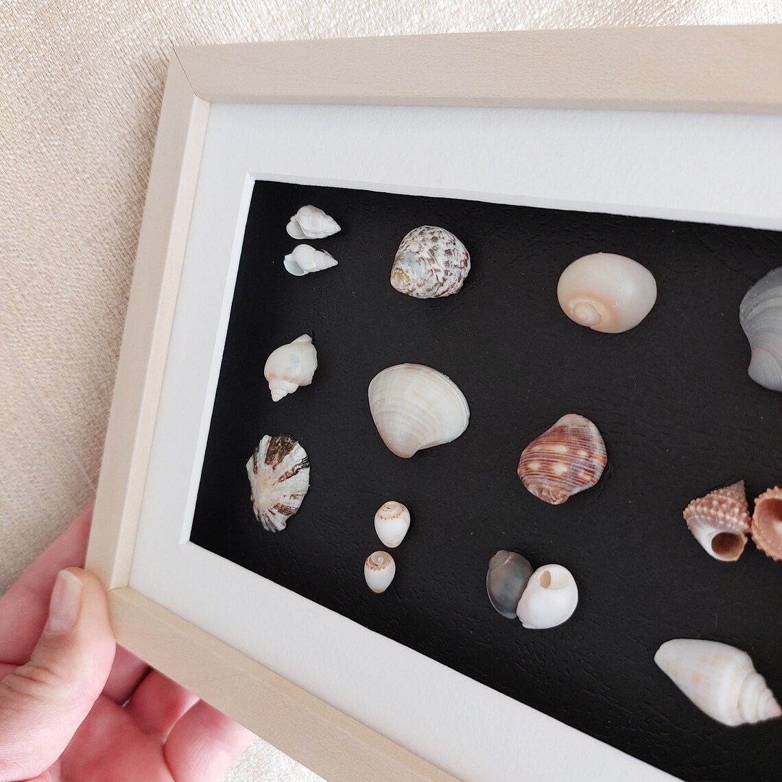 Seashell Collection Set of 2 Sea Shells Wall Art Seashell Mosaic ...