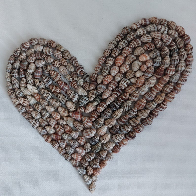 Seashell Heart Sea Shell Heart Wall Art Heart Frame Heart - Etsy