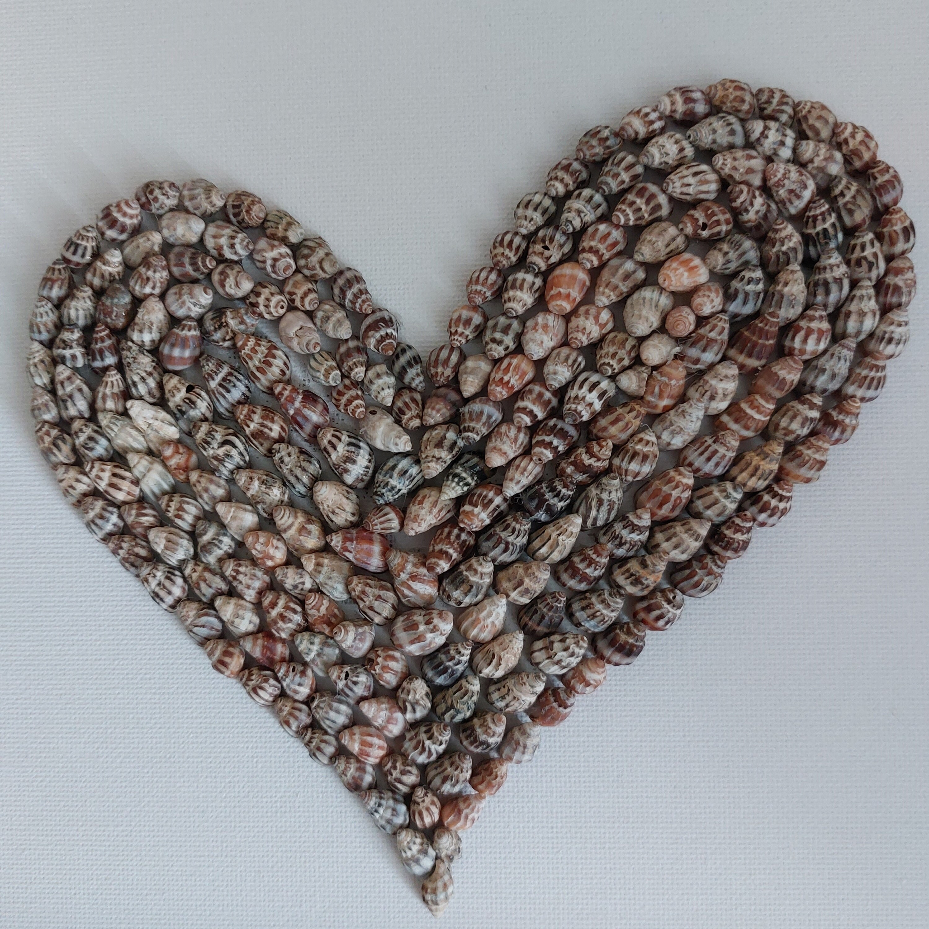 Seashell Heart Sea Shell Heart Wall Art Heart Frame Heart - Etsy