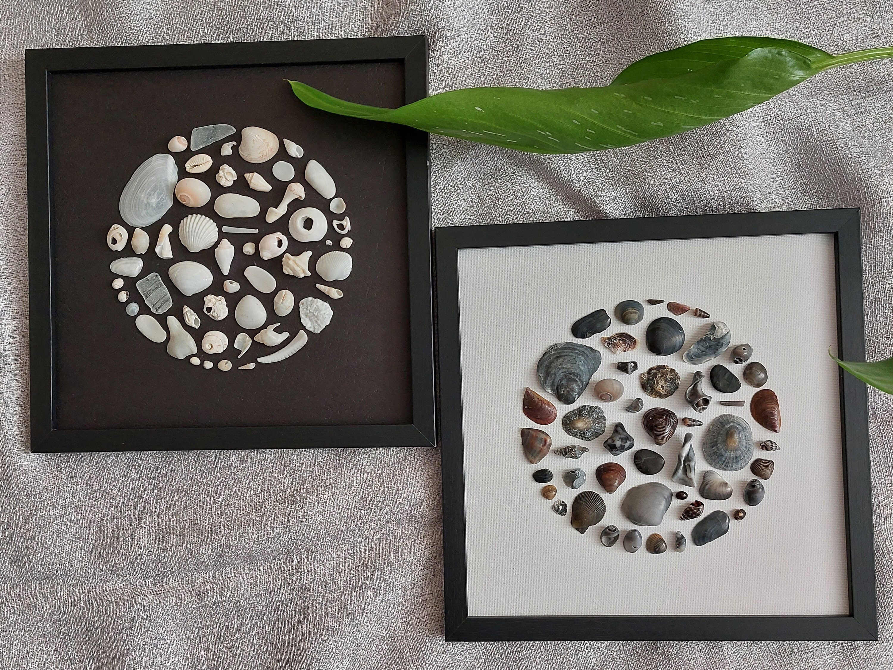 Shell Art Collage Black Seashells Mosaic Pebbles Art Small Picture ...