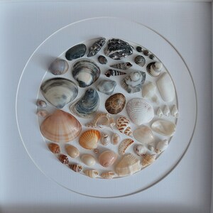 Mosaic Collage Shells White Black Beige Shell Wall Decor Shell Coastal ...