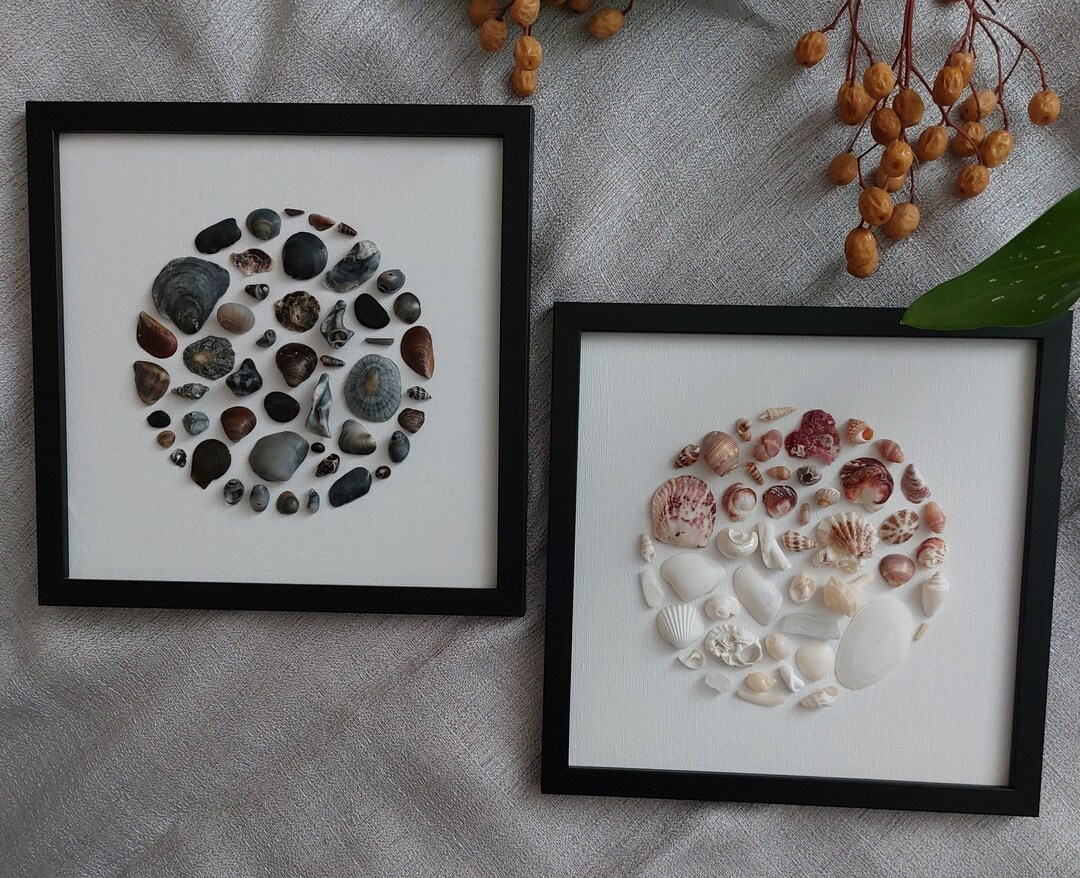 Set Seashell Art Circular Collage Sea Shell White Pink Colors Seashell ...