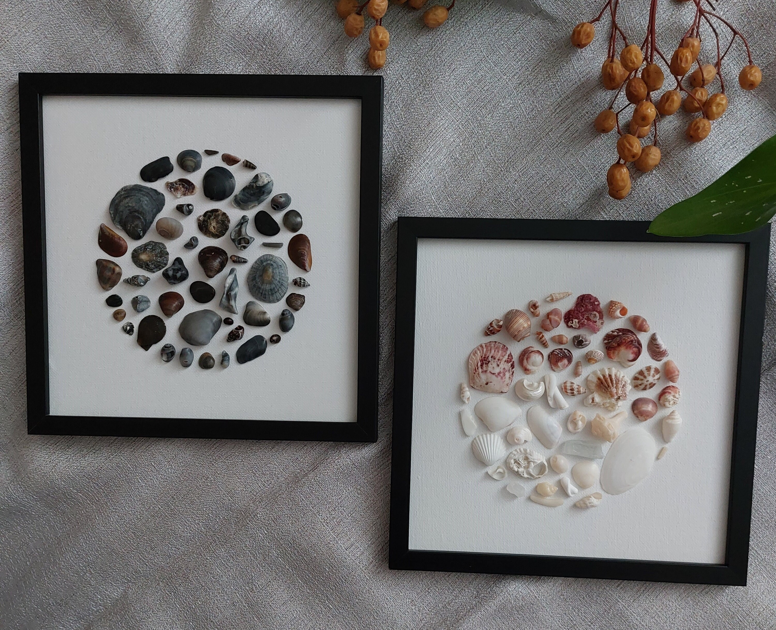 Seashell Art Circular Collage Sea Shell White Pink Colors Seashell Wall ...