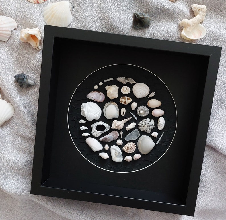 Seashell Circle Wall Decor Shell Collage Art Mosaic Seashell Wall Art ...