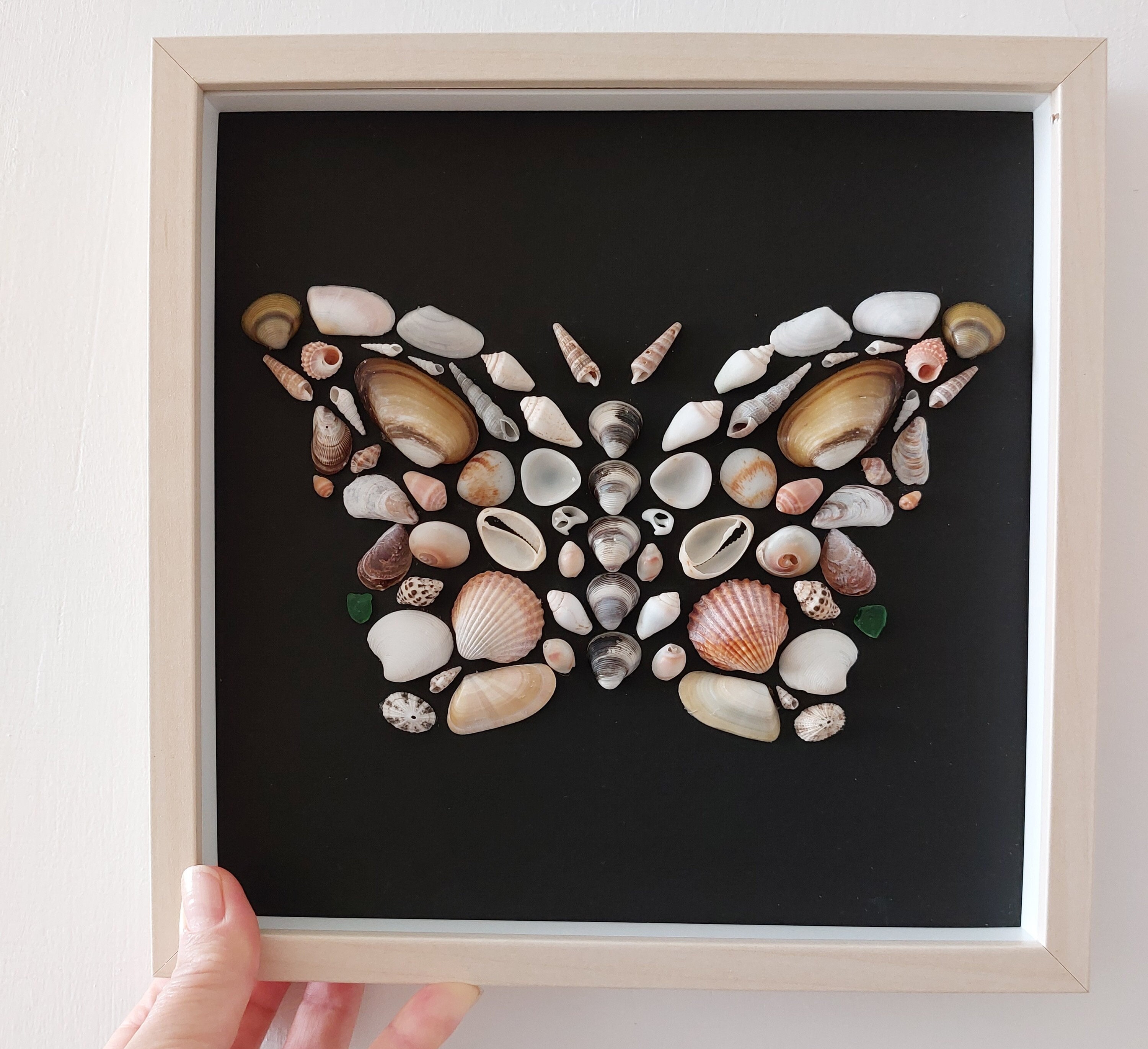 Seashell Butterfly Wall Art: Gothic Coastal Decor, Mediterranean Shells ...