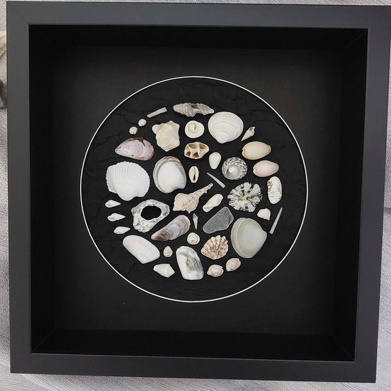 Seashell Circle Wall Decor Shell Collage Art Mosaic Seashell Wall Art Shadow Box 9.89.8 Inch ...