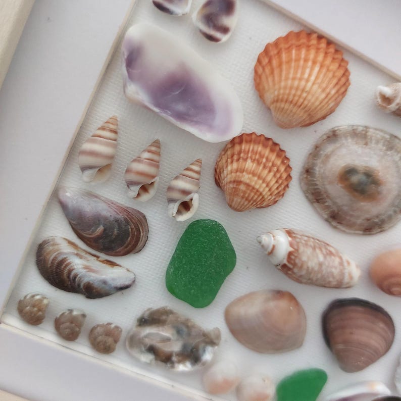 Seashell Mosaic Artwork Seashell Wall Decor Seashell Mosaic Framed ...