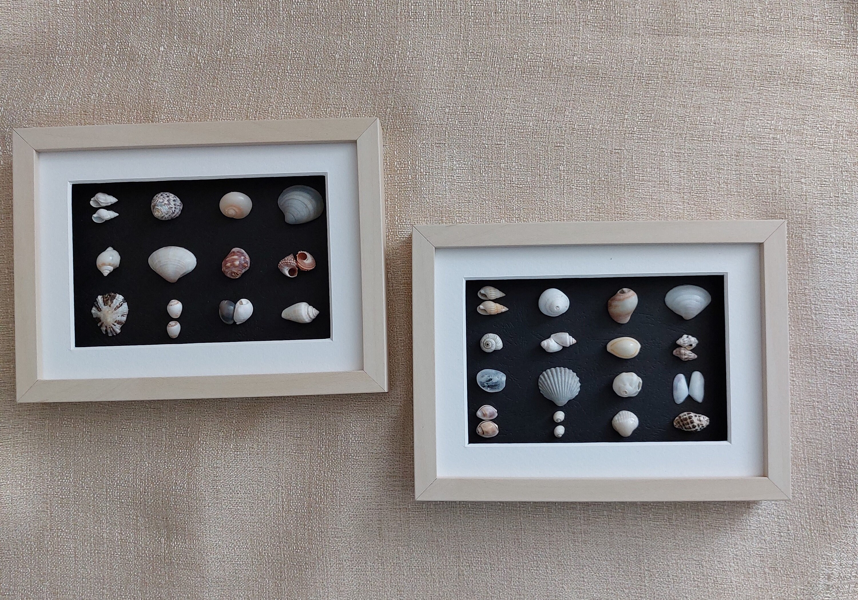 Seashell Collection Set of 2 Sea Shells Wall Art Seashell Mosaic ...