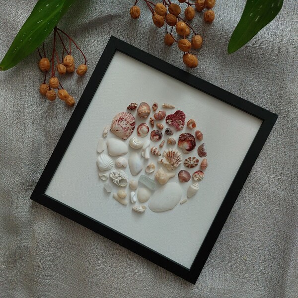 Shop Seashell Art - Etsy