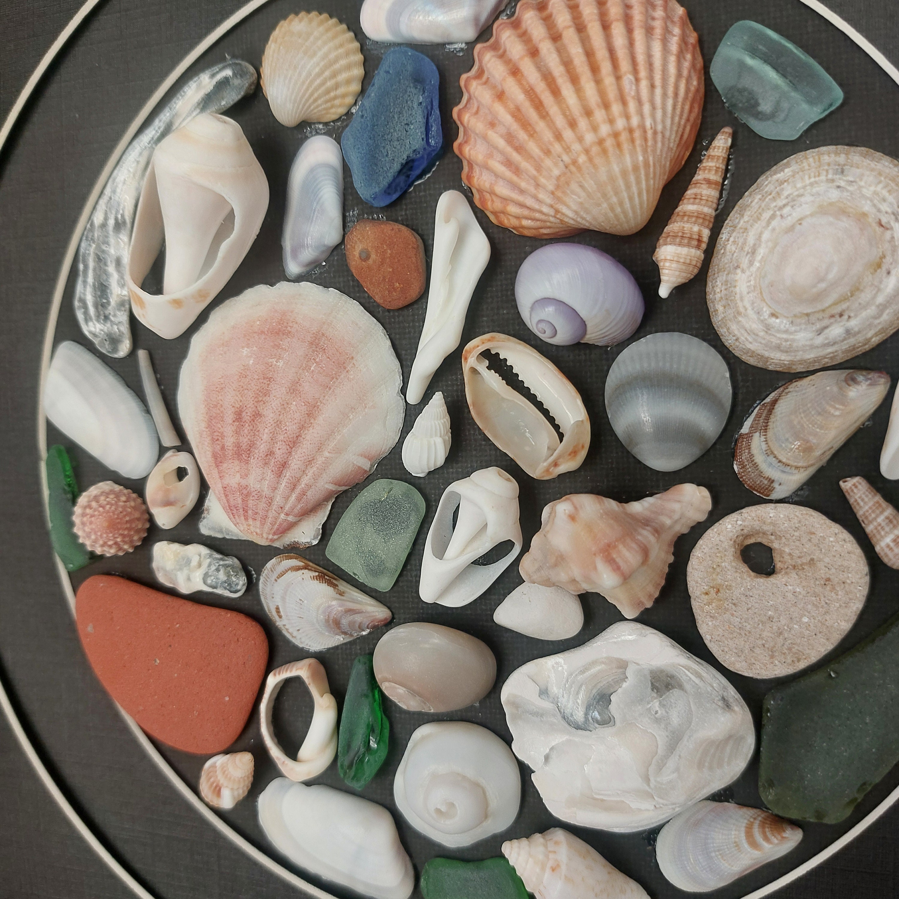 Seashell Wall Decor Mosaic Seashell Art Sea Glass Art Coastal Wall ...