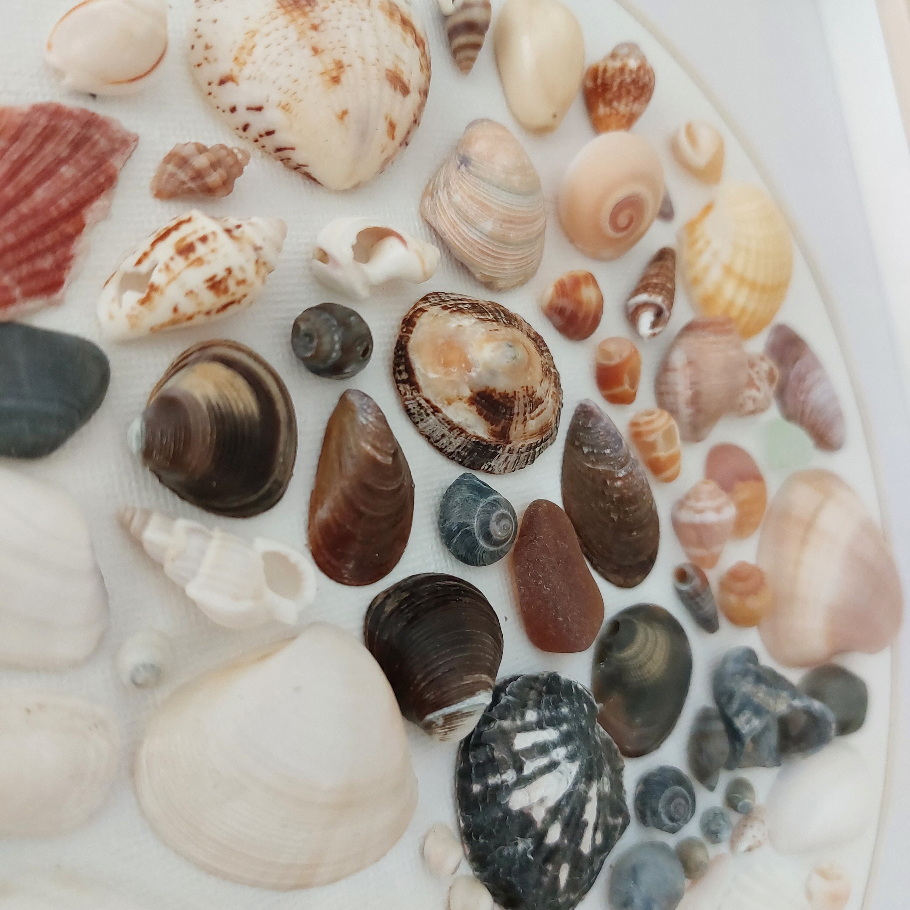 Mosaic Shell Wall Decor Mosaic Framed Collage Sea Glass - Etsy